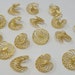 20 Pcs Gold Metal Coil Spring Spiral Craft Beading Jewelry Findings - Etsy