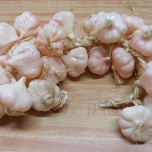 Bag of Plastic Artificial Garlic Bulbs on Jute String Twine for Floral ...