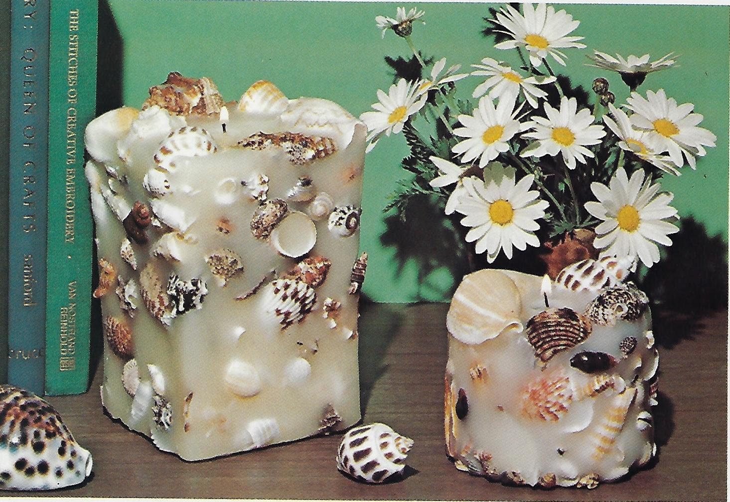 Elegant Shellcraft Decorative Accessories Using Natural Sea | Etsy