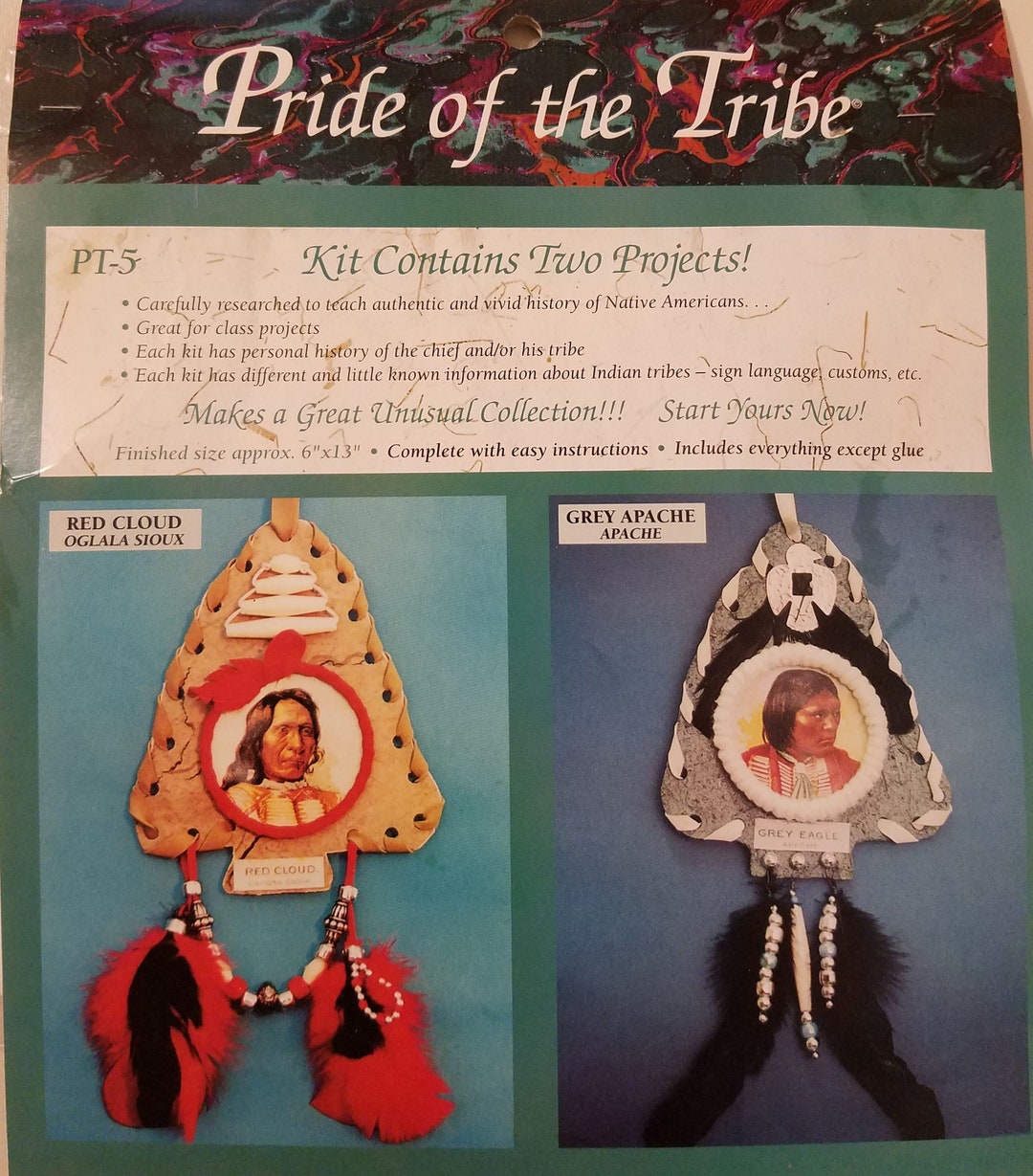 Pride of the Tribe Indian Chief Southwest Craft Project Kit Native ...