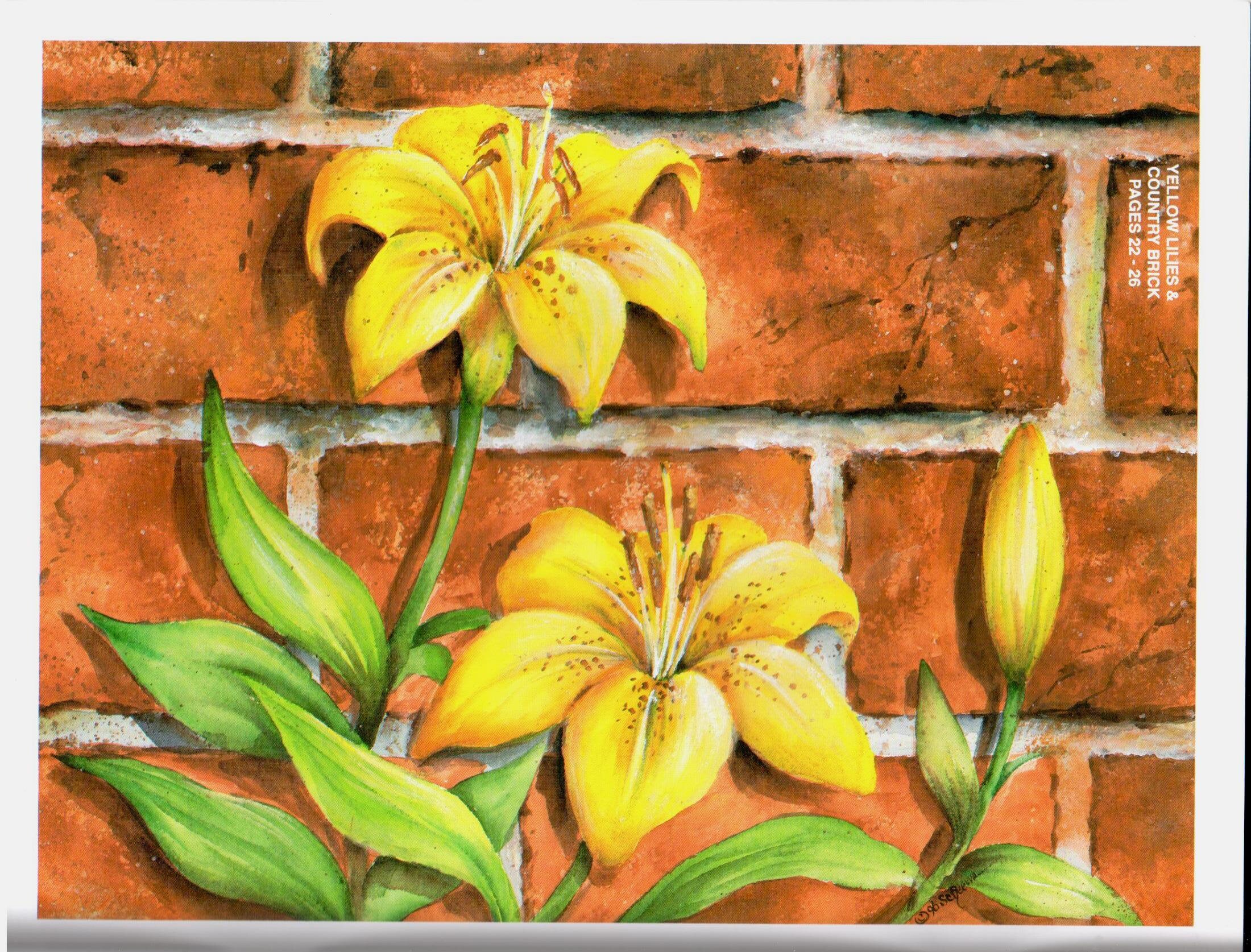 Watercolor & Acrylic Susan Scheewe Brown Decorative Painting Patterns ...