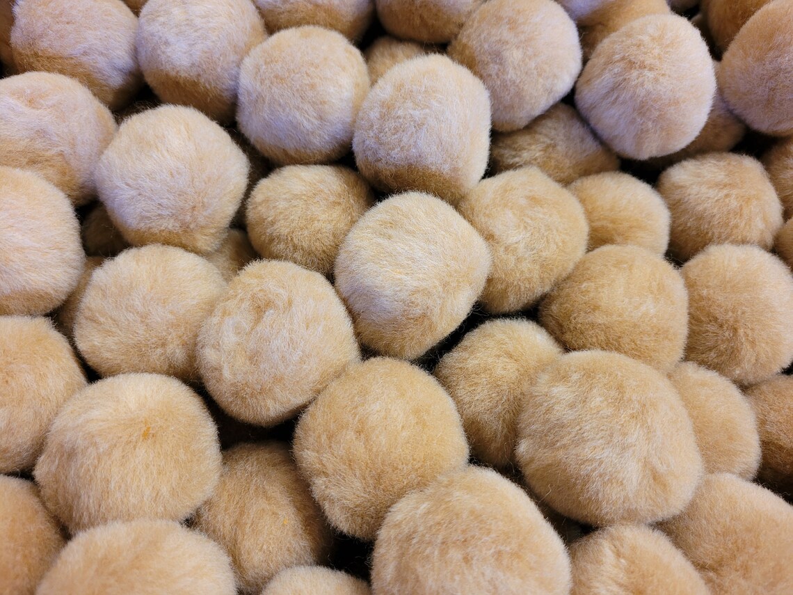 25 Pcs Large 2