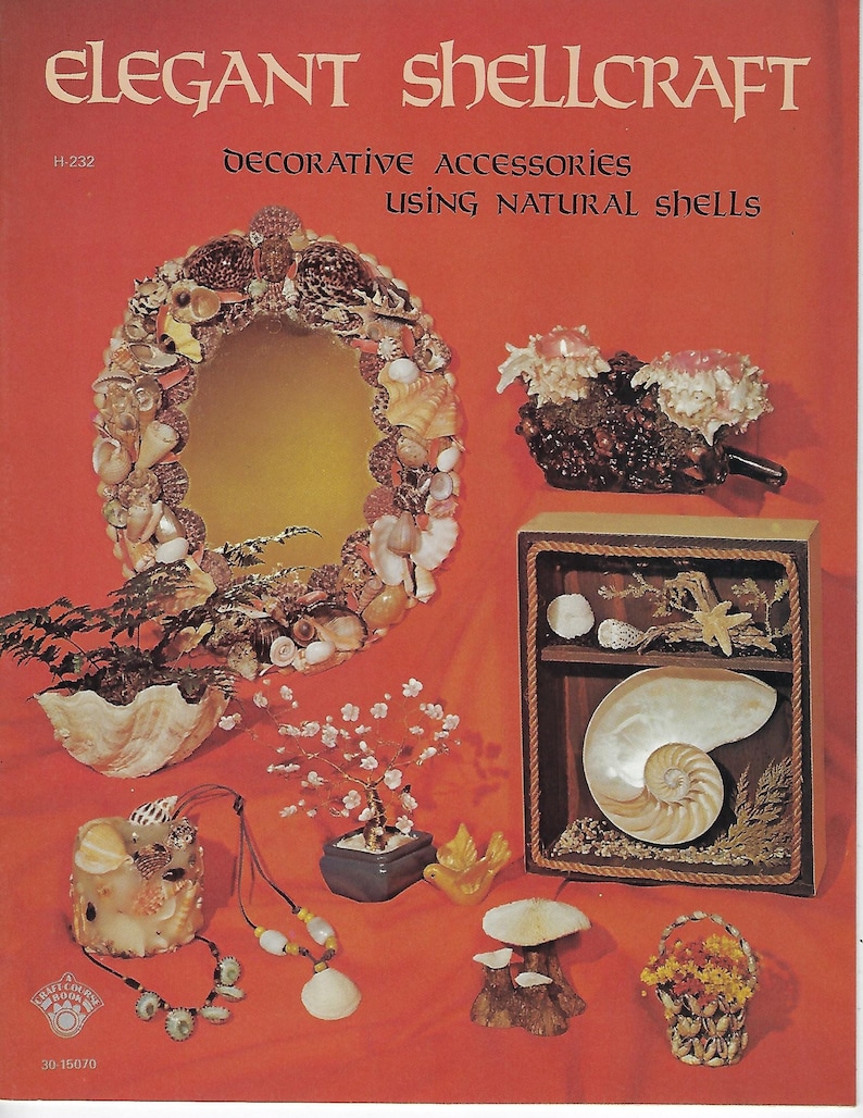 Elegant Shellcraft Decorative Accessories Using Natural Sea | Etsy