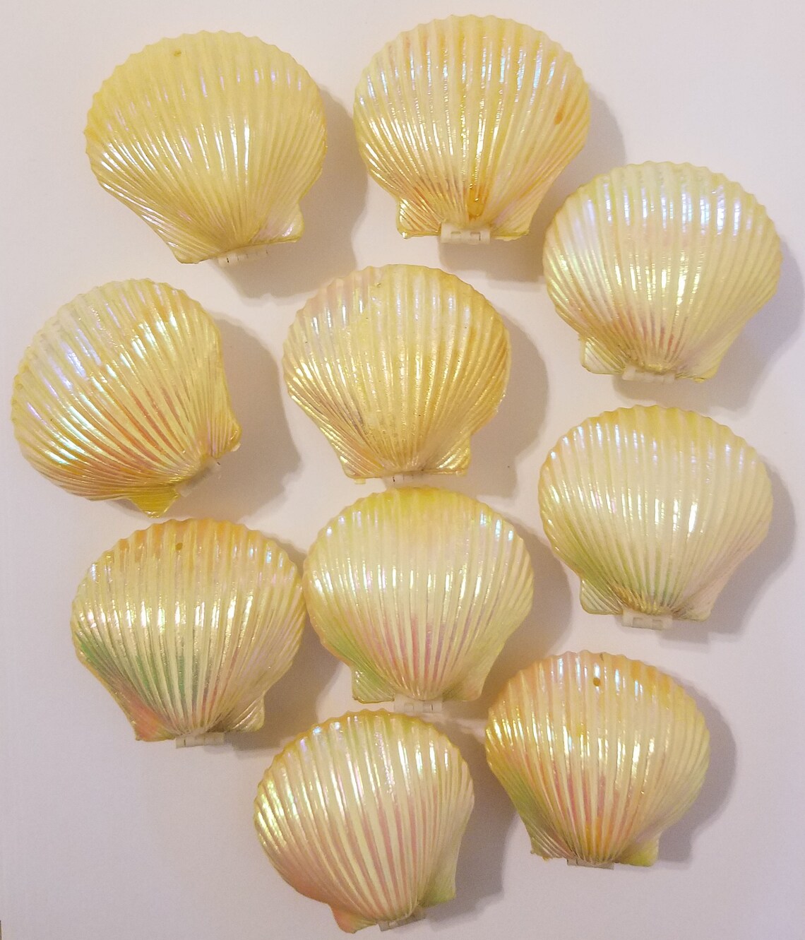 Pack of 10 Hinged Plastic Seashells Clam Shells for Crafts or - Etsy
