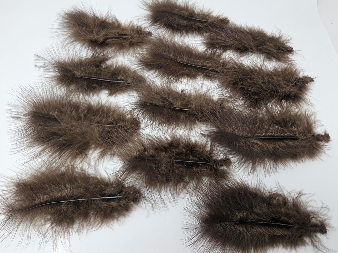 Pack of 12 Vintage Brown Loose Down Feathers, 4-6 Inch, Artificial Bird ...