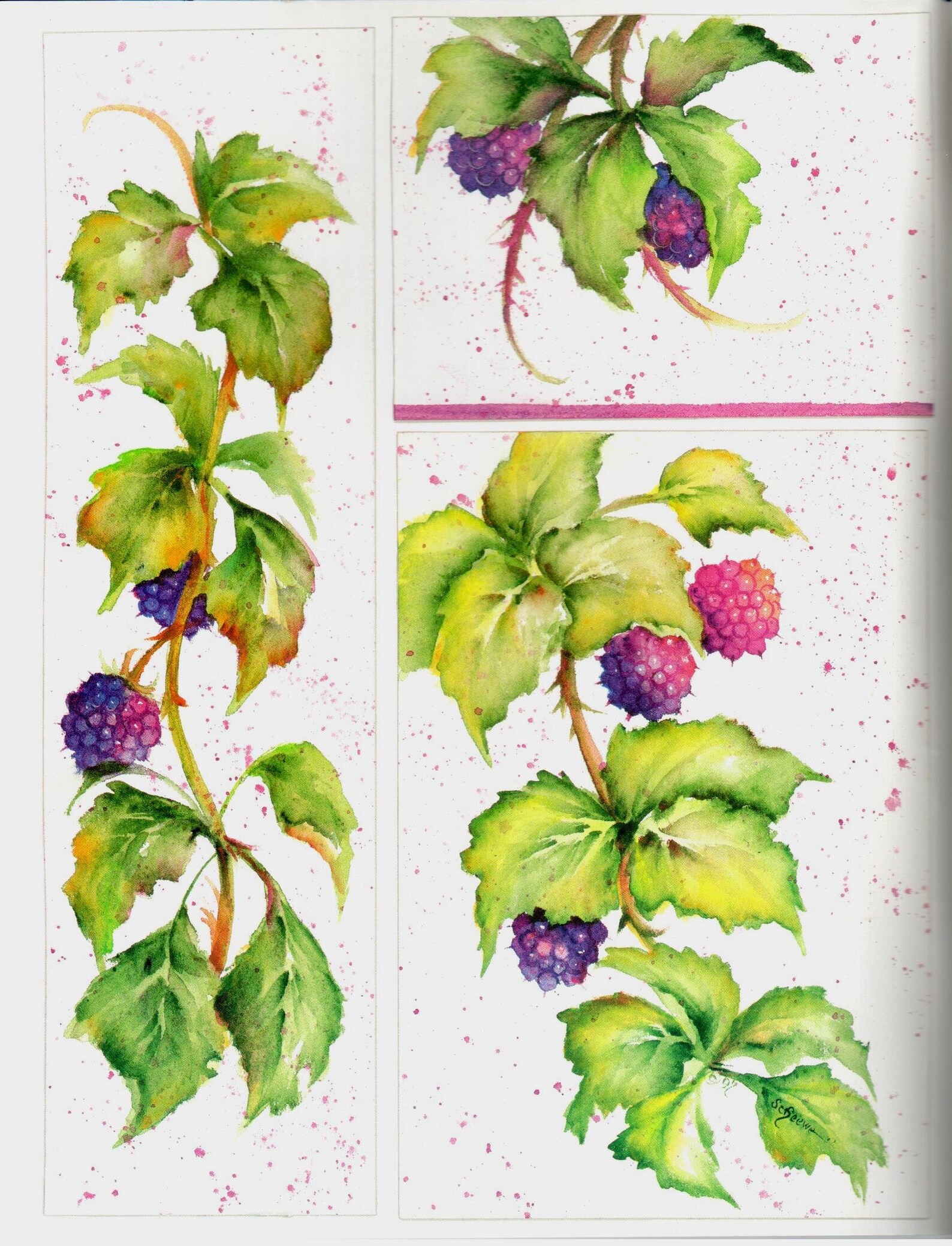 Enjoy Watercolor & Acrylic Susan Scheewe Brown Decorative Painting ...