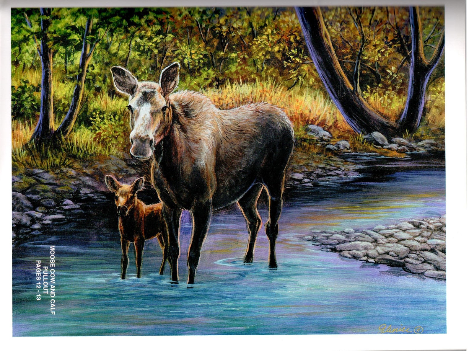 Bitterroot Backroads 8 Glenice Moore Decorative Painting Wildlife ...