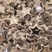 Pack of 50 Shiny Metallic Puffy Star-shaped Plastic Beads 1" Inch 25mm ...