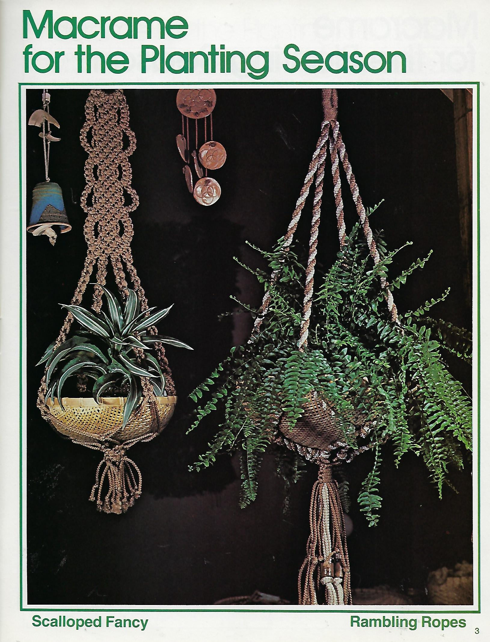 Macrame for All Seasons Vol. III Plant Hanger & Wall Hanging | Etsy