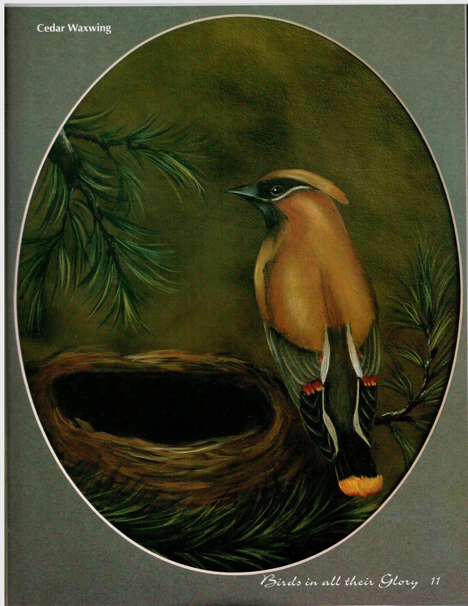 Birds in All Their Glory Nancy Dale Kinney Oil and Acrylic - Etsy