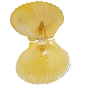 Pack of 10 Hinged Plastic Seashells Clam Shells for Crafts or Nautical ...