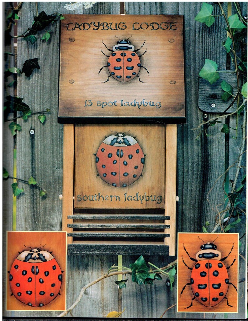 It's A Bird's Life Dale Everett Decorative Painting Patterns Book - Etsy