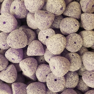 100 Pcs Medium Sugared Gumdrop Sugar Coated Gum Drop Candy Christmas ...