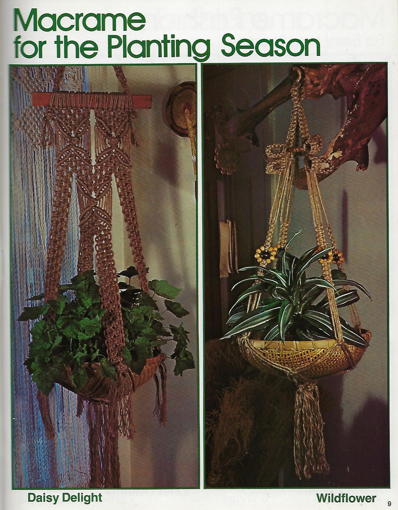 Macrame for All Seasons Vol. III Plant Hanger & Wall Hanging | Etsy