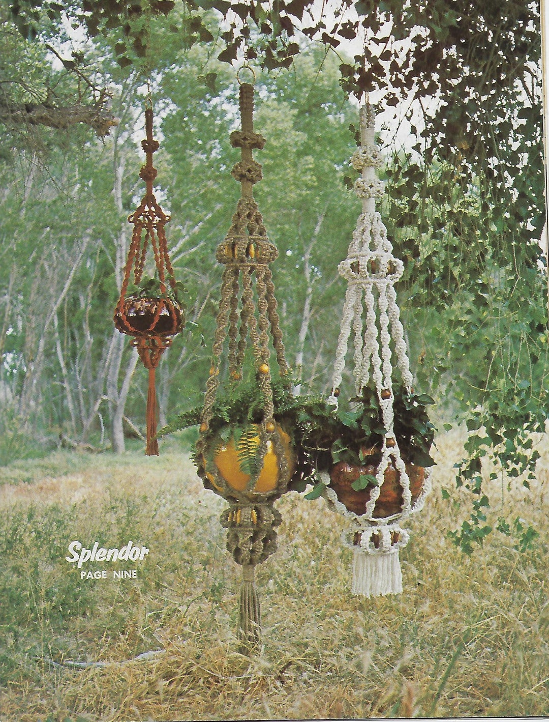 PDF ONLY - Macrame Unlimited Hanging Tables, Greenhouse, & Plant Hanger ...