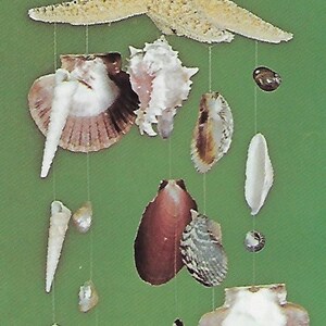 Elegant Shellcraft Decorative Accessories Using Natural Sea Shells ...