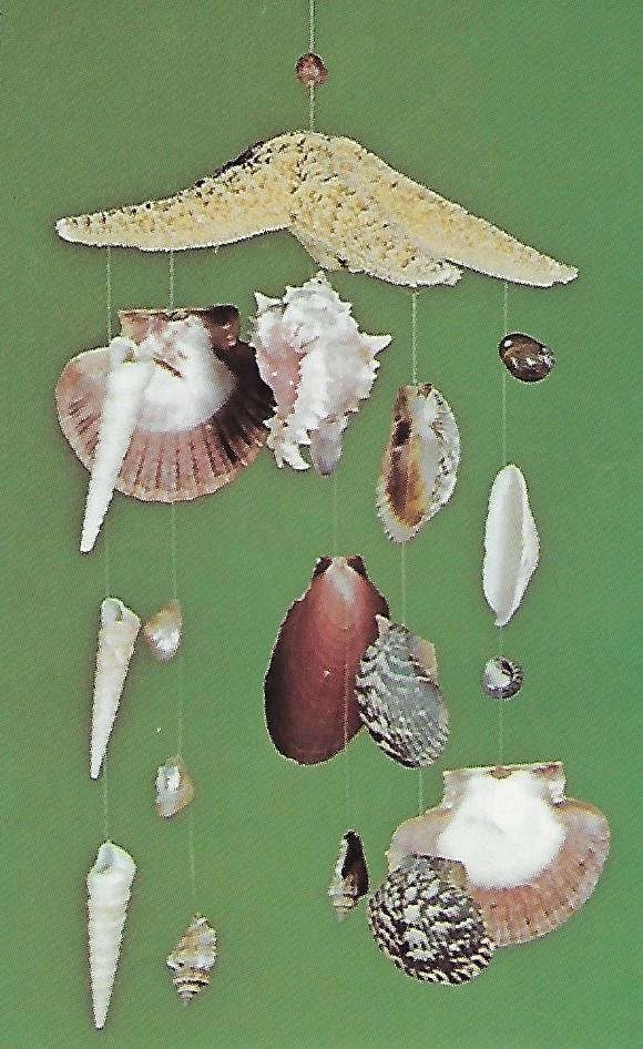 Elegant Shellcraft Decorative Accessories Using Natural Sea | Etsy