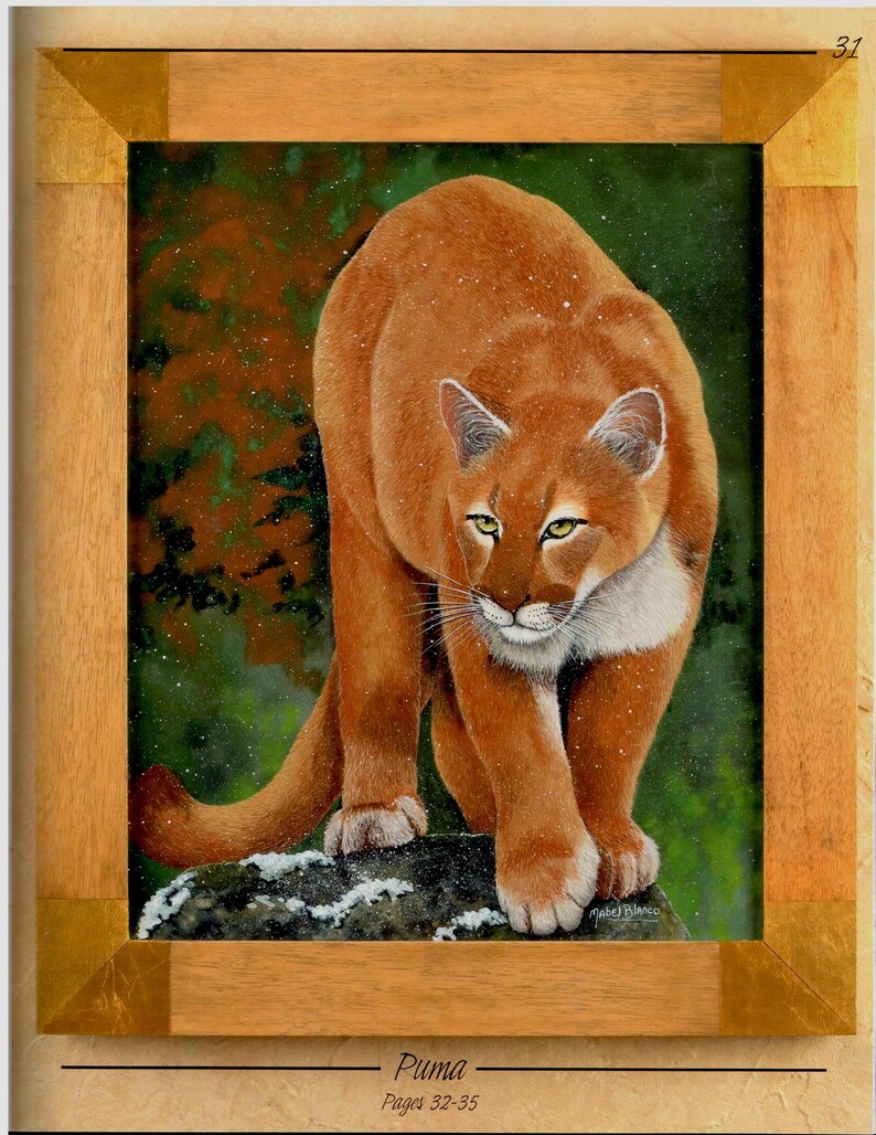 The Majesty of Nature Book 2 Mabel Blanco Acrylic Decorative Painting ...