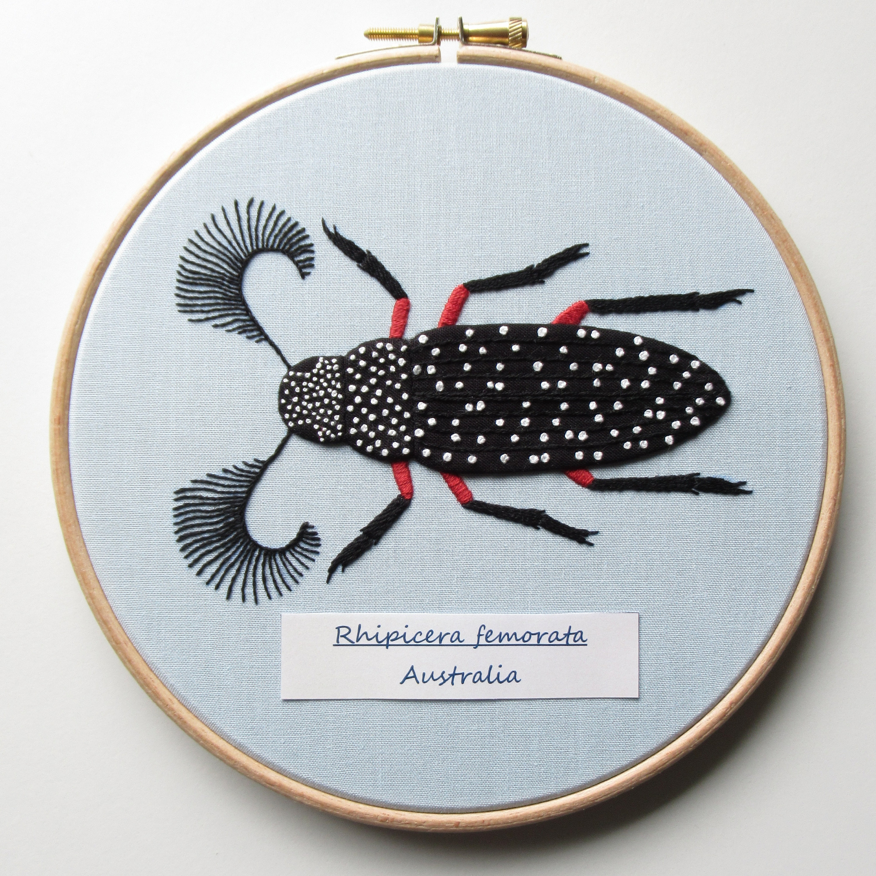 Feather Horned Beetle Embroidery Pattern PDF - Etsy