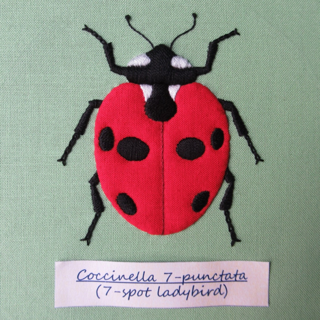 7 Spot Ladybird Embroidery Pattern Instant Download PDF - Etsy