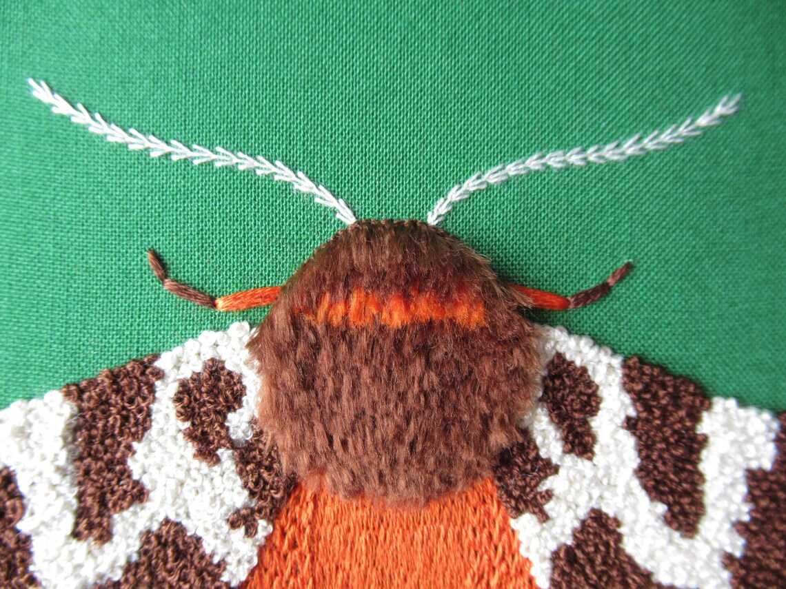 Garden Tiger Moth Embroidery PATTERN PDF | Etsy
