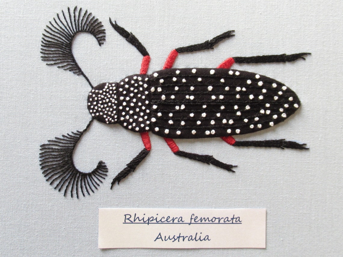Feather Horned Beetle Embroidery Pattern Instant Download PDF - Etsy