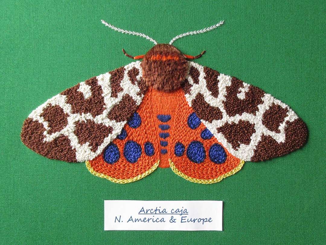 Garden Tiger Moth Embroidery Pattern PDF - Etsy