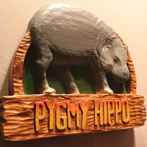 Zoo Signs | Animal Signs | Wildlife Signs | Custom Carved Wood Signs ...