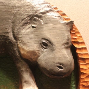 Zoo Signs | Animal Signs | Wildlife Signs | Custom Carved Wood Signs ...