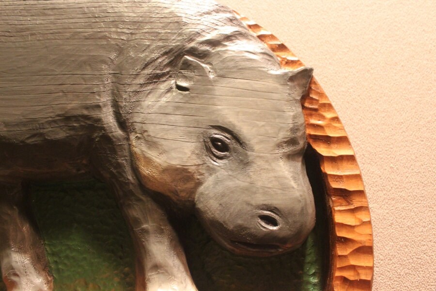 Zoo Signs | Animal Signs | Wildlife Signs | Custom Carved Wood Signs ...