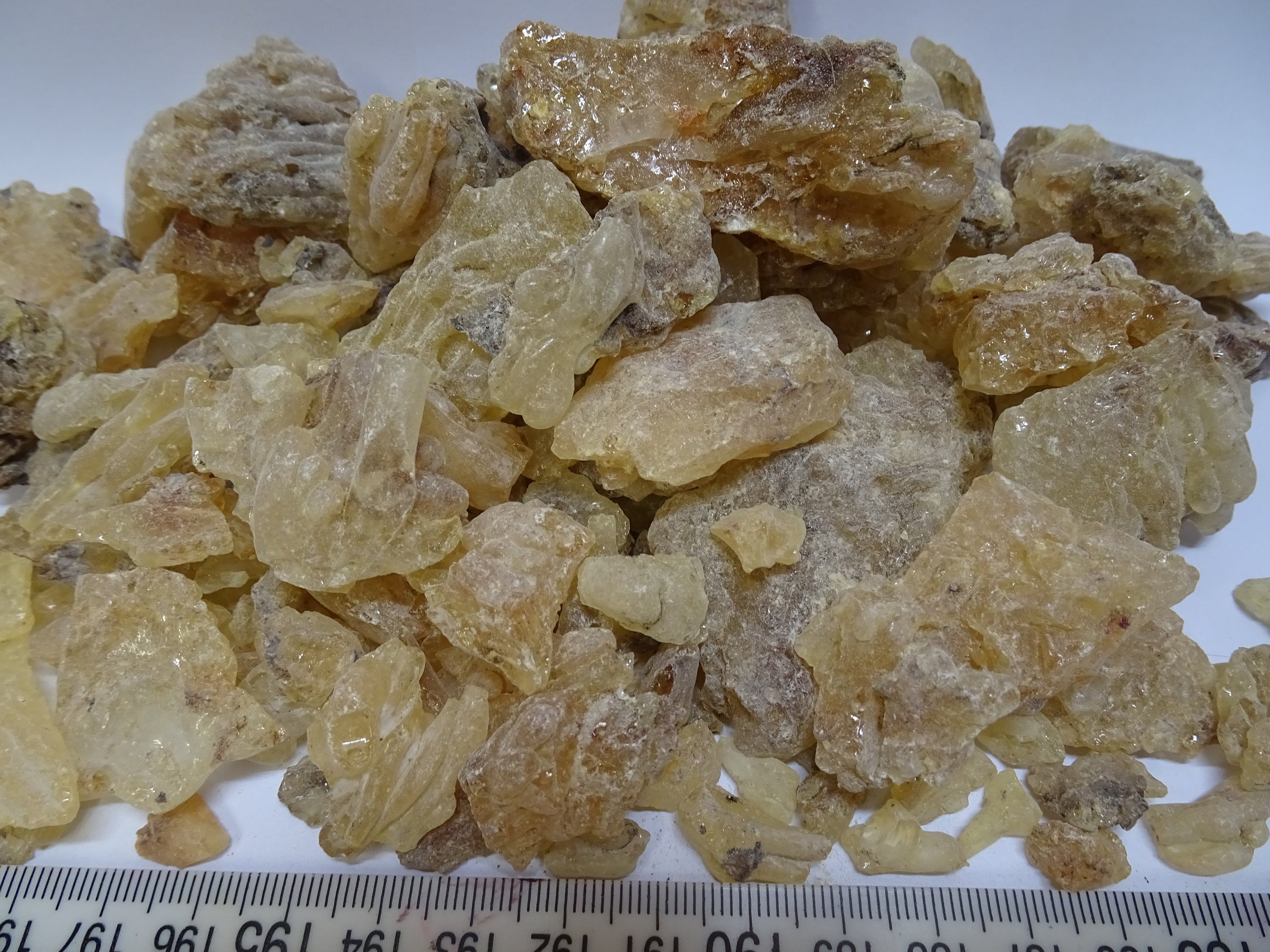 Copal Protium copal natural tree resin incense | Etsy