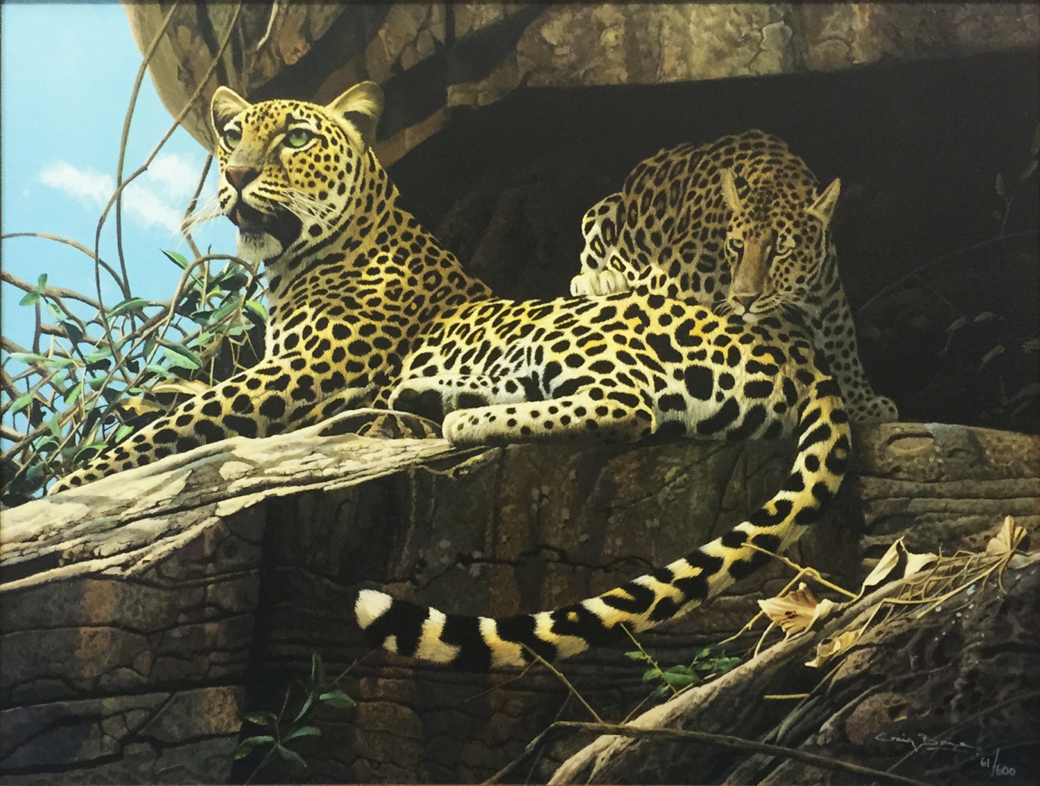 Craig Bone "leopards" - Signed Giclee/canvas - Framed - COA - See Live ...