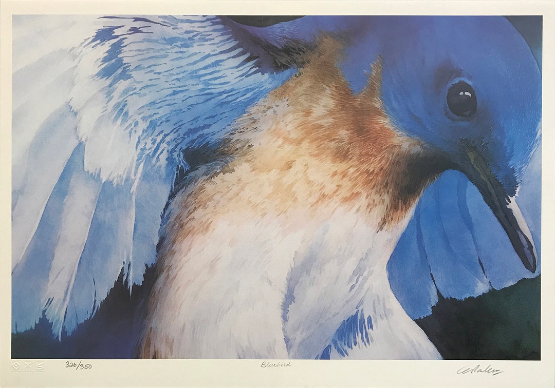 Carl Arlen 'blue Bird' - Hand Signed Print - Others Available - Gallart ...
