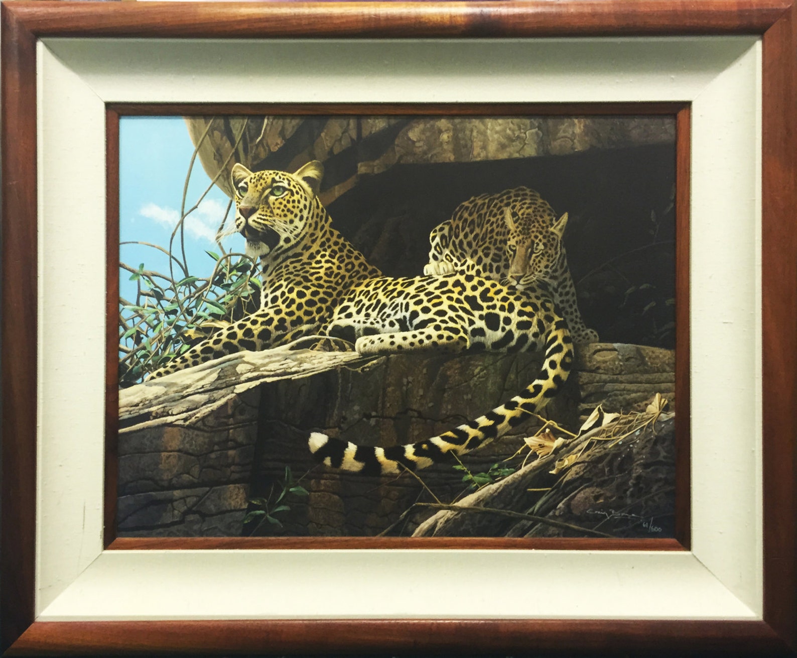 Craig Bone "leopards" - Signed Giclee/canvas - Framed - COA - See Live ...
