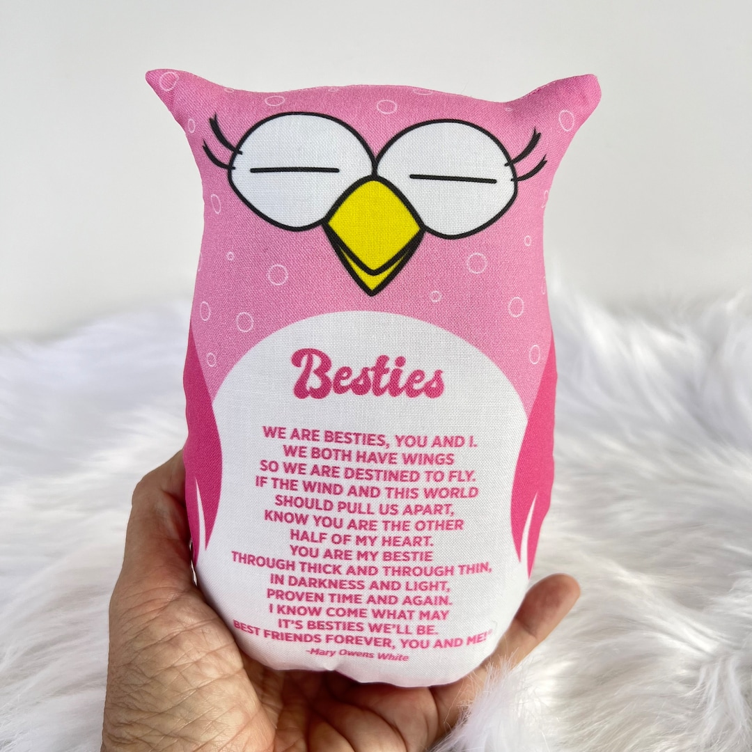 Thick and Thin Besties Poem Pillow Single in Choice of Colors, Send a ...