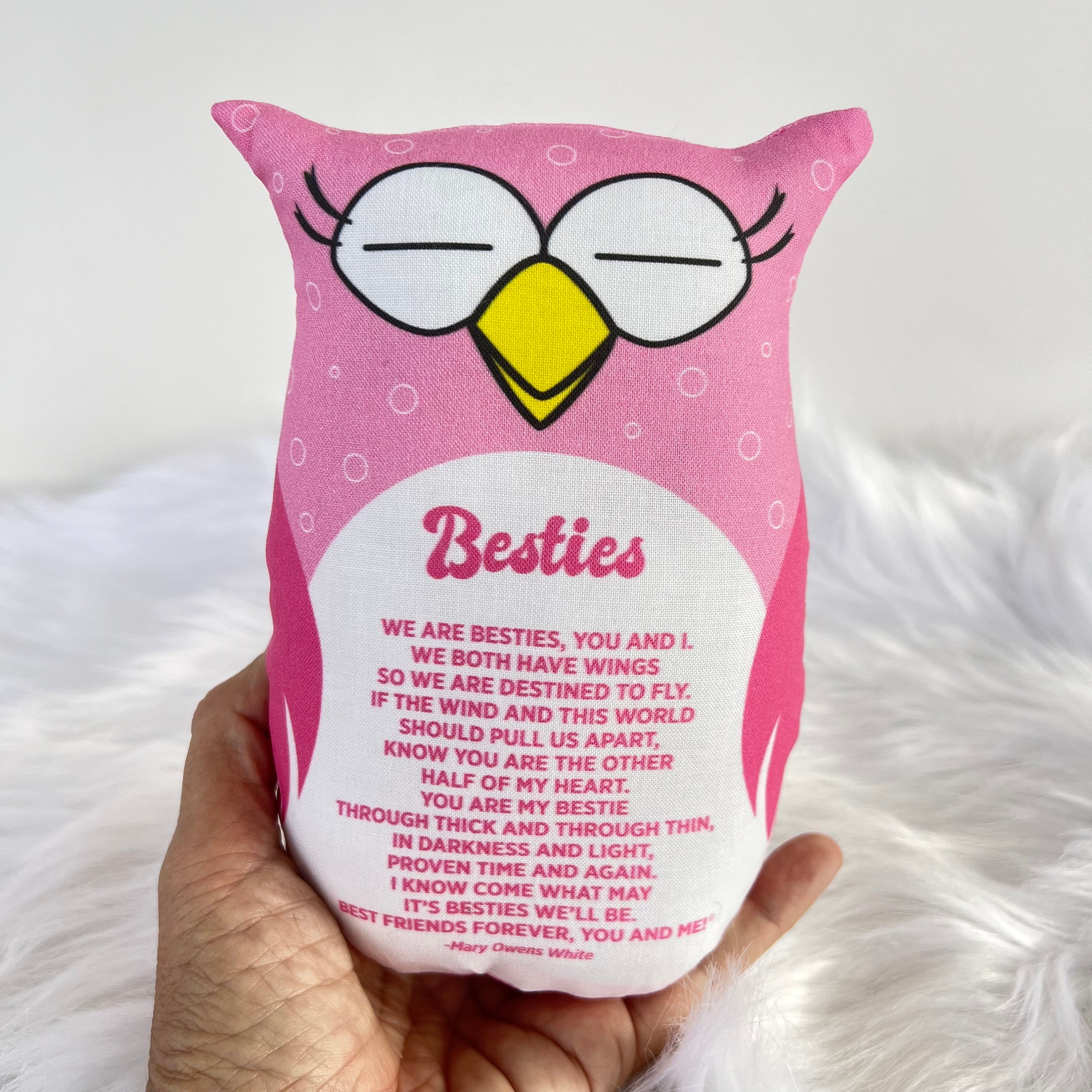 Thick and Thin Besties Poem Pillow Single in Choice of Colors, Send a ...