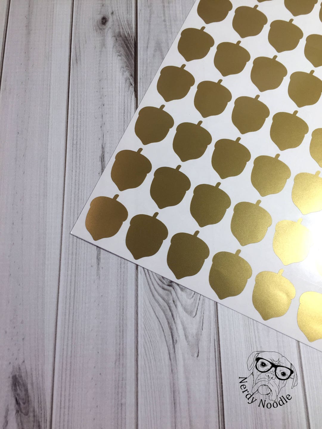 Acorn Tanning Stickers, Acorn Stickers, Acorns Sticker Set, Acorn ...