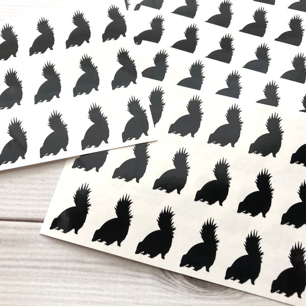 Skunk Sticker - Etsy