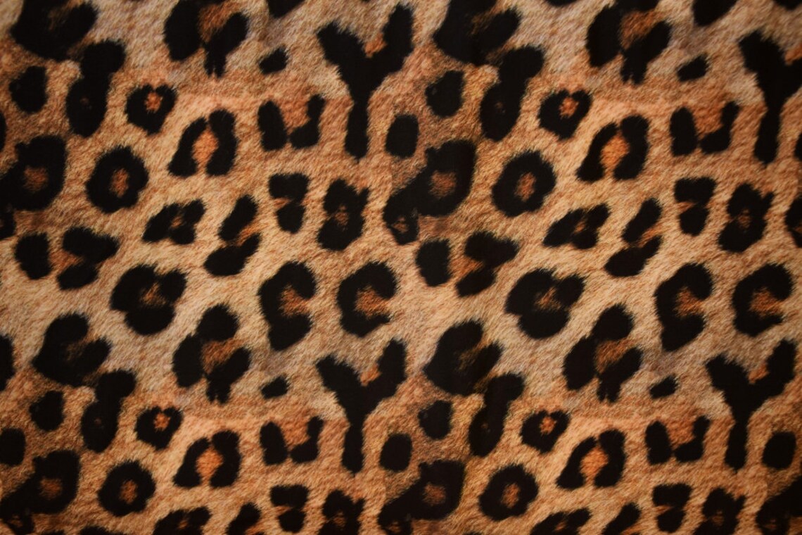 Leopard Print Four Way Stretch Spandex Fabric by the Yard - Etsy