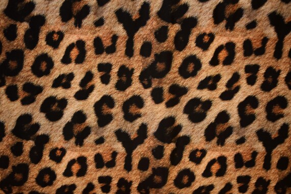 Leopard Print Four Way Stretch Spandex Fabric by the Yard - Etsy