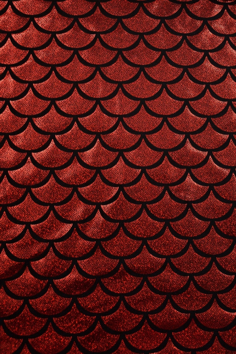 Dragon Scale Adult Roller Skate Boot Covers COVERS ONLY | Etsy