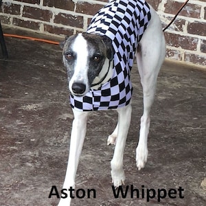 Emerald Green Dragon Scale Holographic Mermaid Pet Shirt Jacket Costume ...