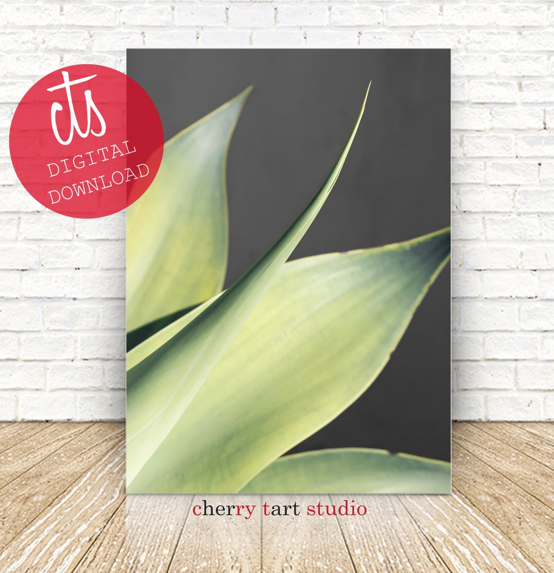 Agave Fine Art Print Digital Download - Etsy