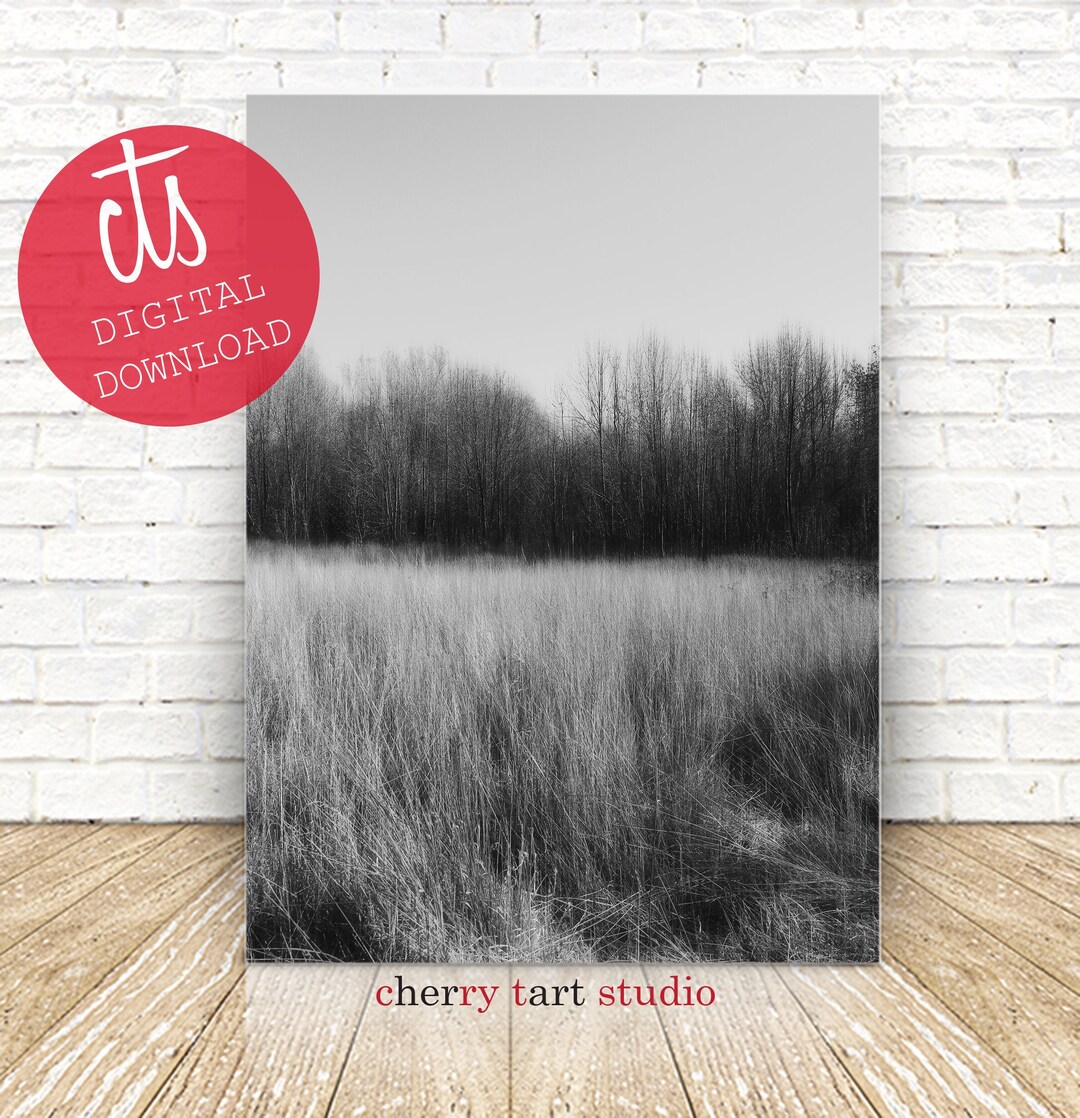 Ethereal Field - Black and White - Digital Download - Gothic Field - Etsy