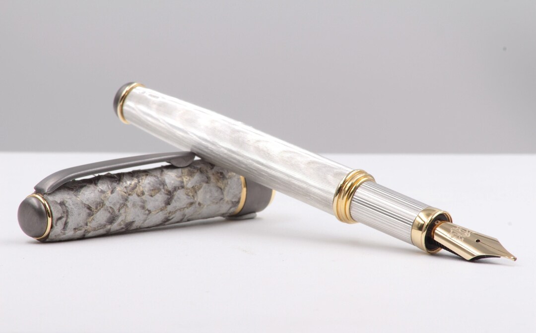 Silver Fountain Pen With Perch Leather Cap Golden Grey - Etsy