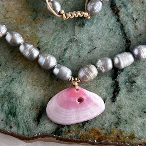 Pink Rose Petal Tellin Shell and Fresh Water Pearl Adjustable Necklace ...
