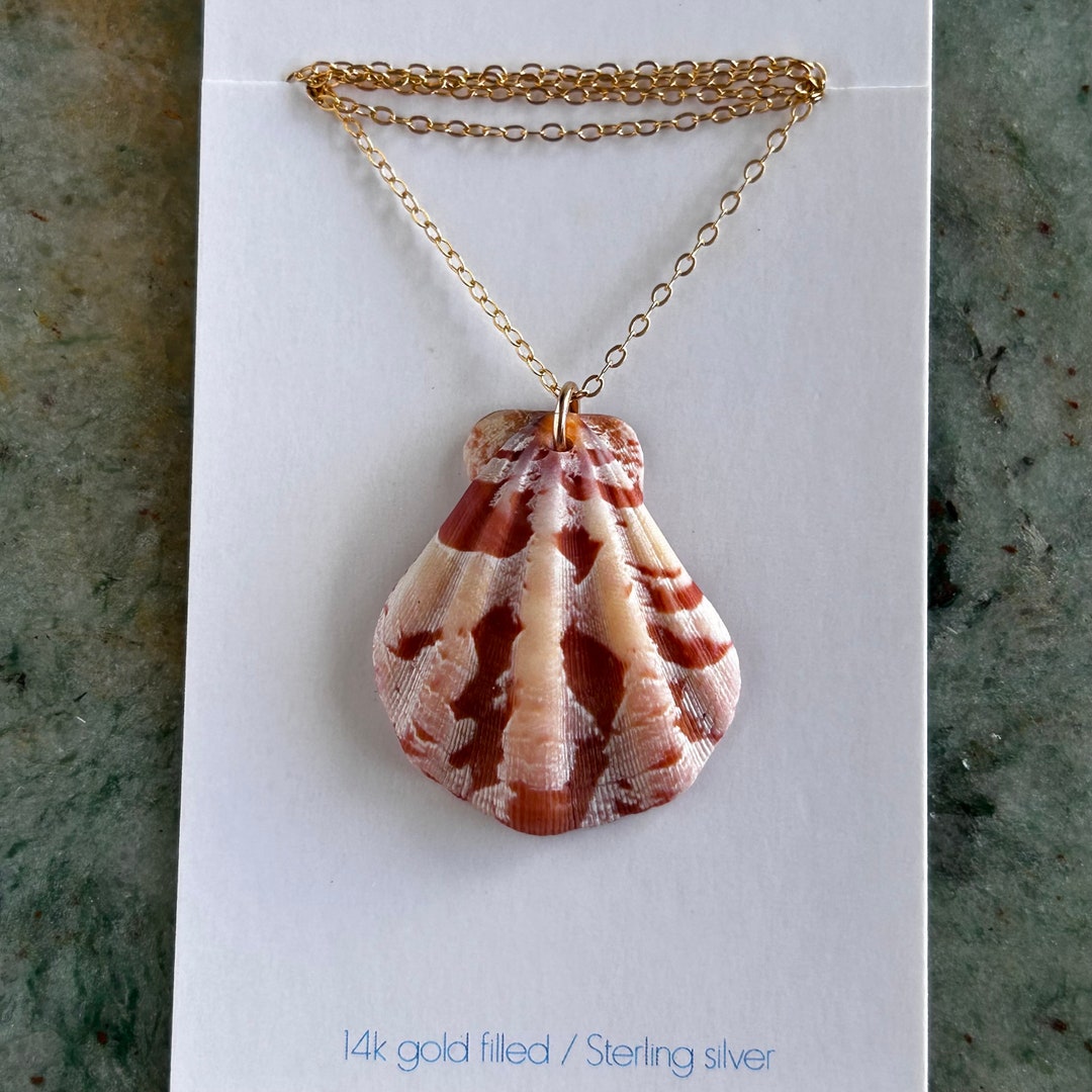 14k Gold Fill Japanese Pecten Clam Shell Necklace - Etsy
