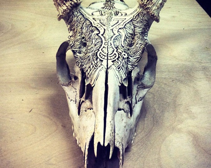 Deer Skull Pyrography - Etsy