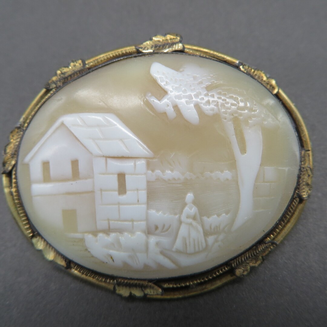 Vintage Carved Shell Cameo Brooch, Beige and White Gold Framed Pin ...