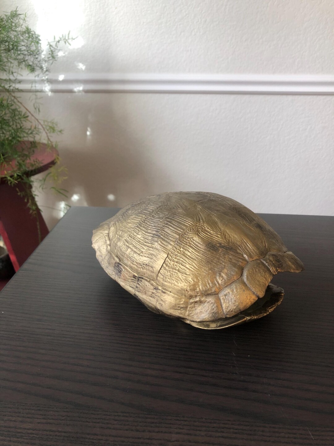 Vintage Gold Painted Turtle Shell Hollow Center Genuine American Fresh ...